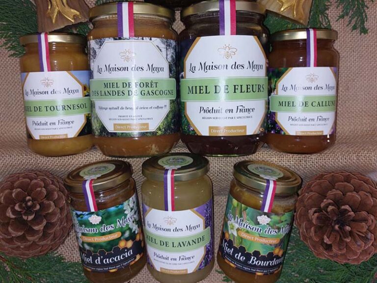 Miels artisanaux dans les Landes, les caractéristiques de chaque miel